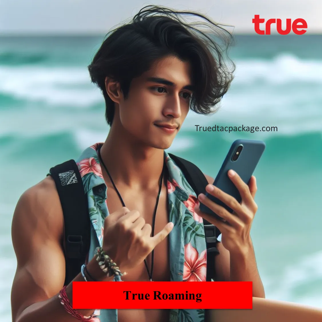 True Roaming แบบรายวัน ราคาคุ้มที่สุด